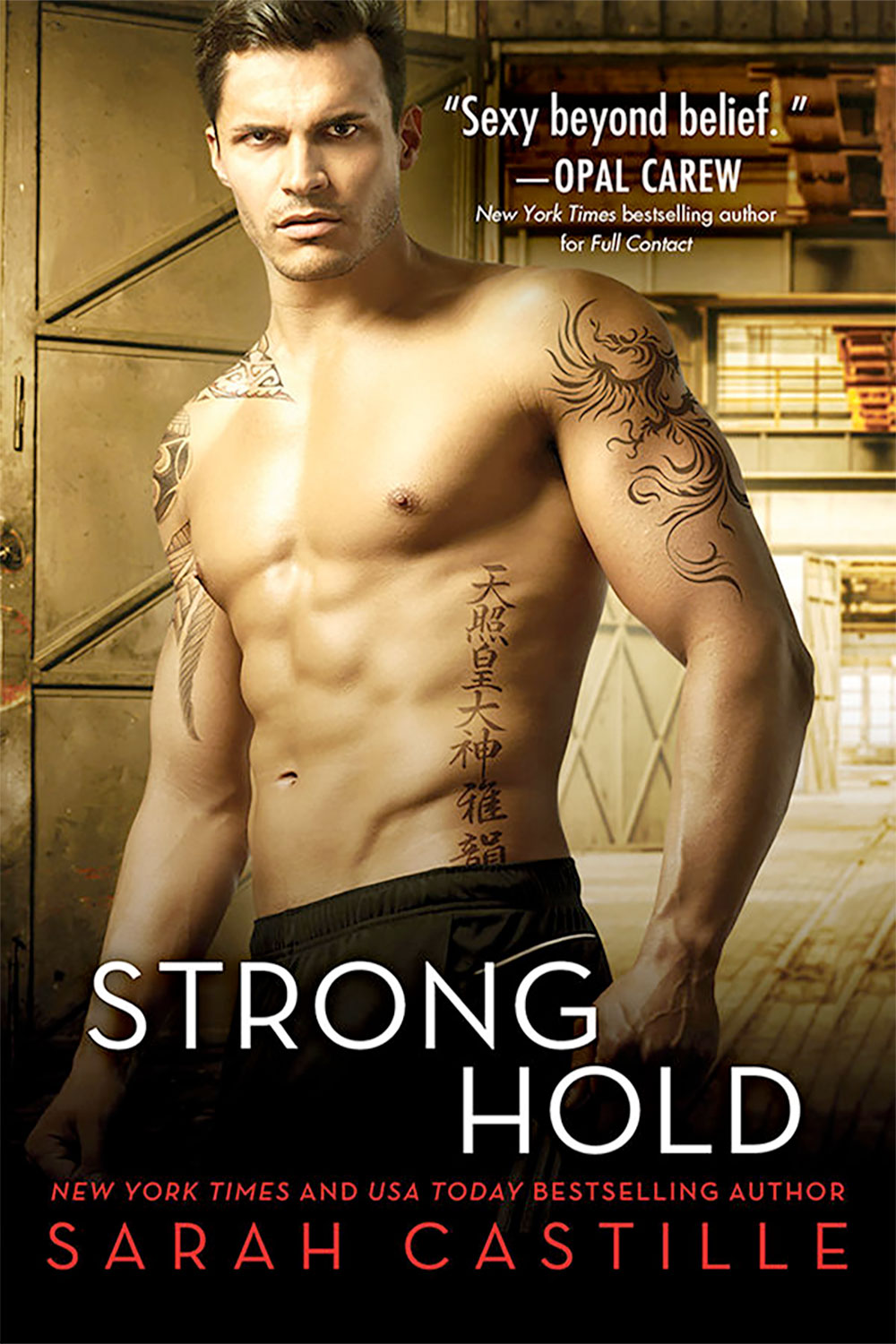 Strong Hold | Sarah Castille » Books
